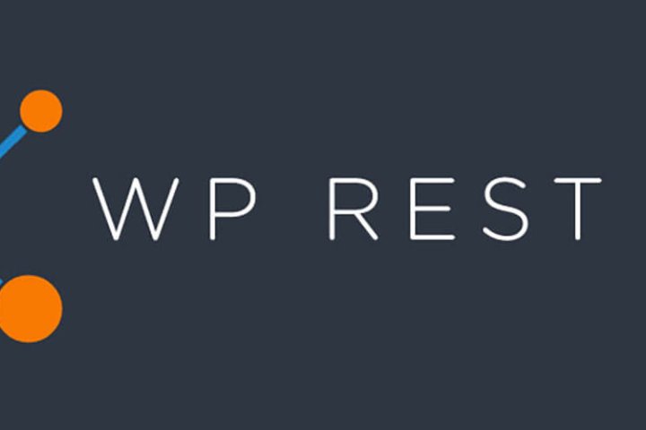 WordPress REST API入门基础知识点 – PMSelf 独立产品人